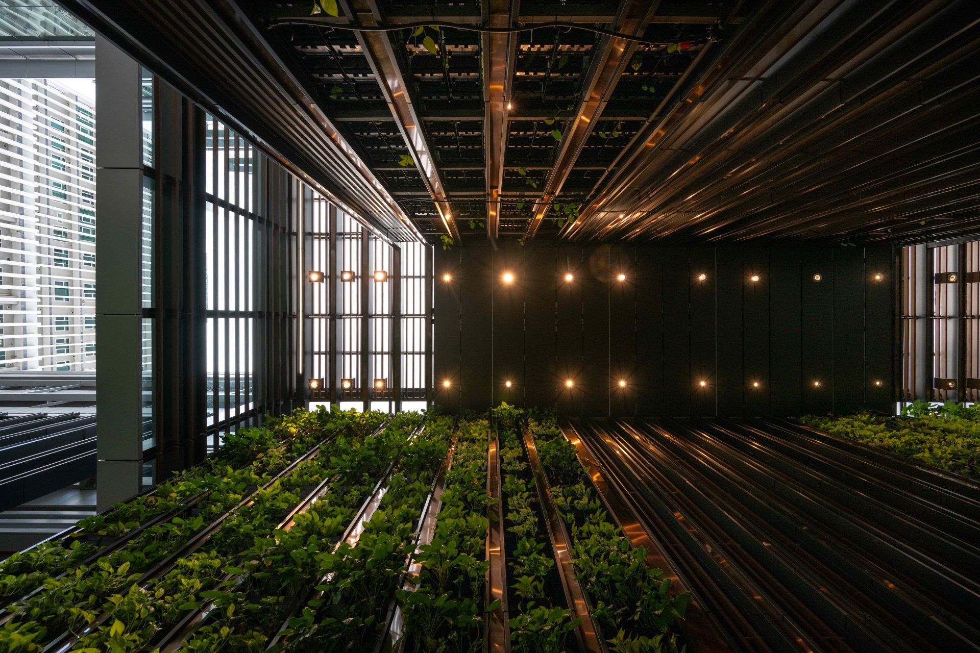 Experience: UOB Headquarters Refurbishment